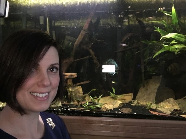 How to Take a Selfie with Your Pet Fish | How to Take Pictures of Fish ...