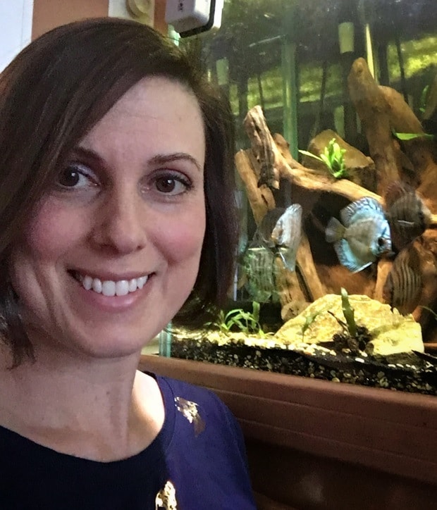 How to Take a Selfie with Your Pet Fish | How to Take Pictures of Fish ...