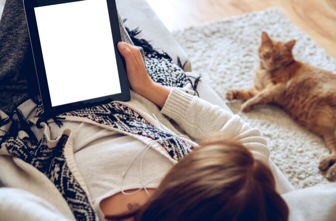10 Helpful Ways to Calm Your Cat 10 Helpful Ways to Calm Your Cat
